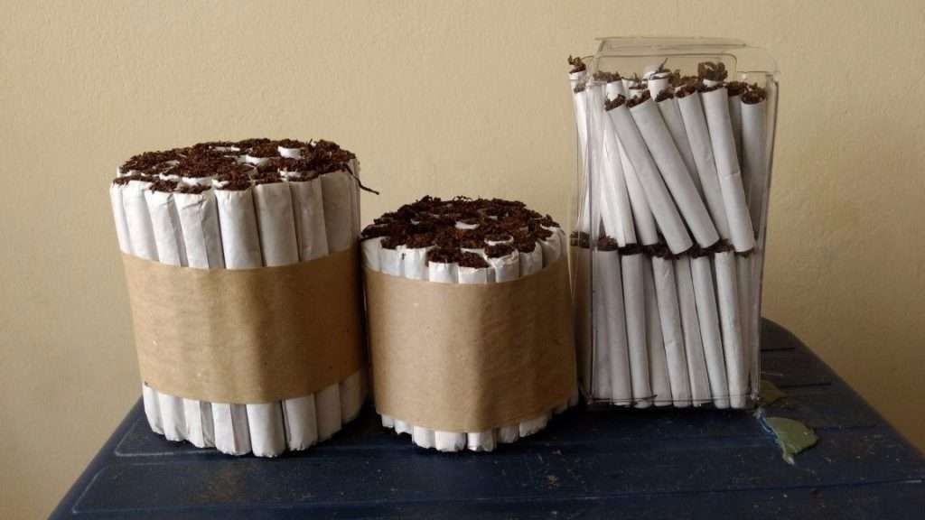 Mapacho Nicotiana Rustica | Tobacco Fresh Strong