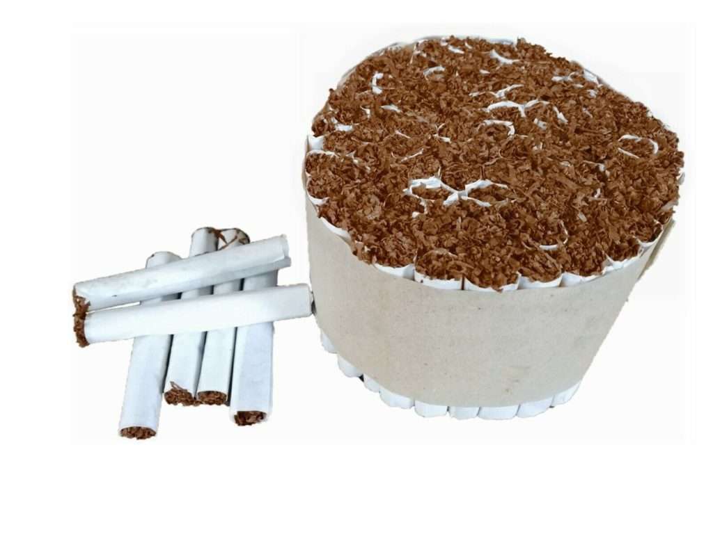 WAREHOUSE USA - MAPACHO NICOTIANA RUSTICA