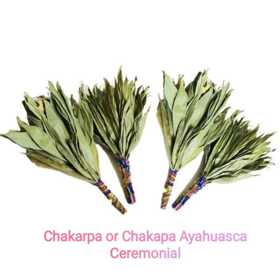 Chakapa Shaman Cleansing Ayahuasca Ritual Ceremonial